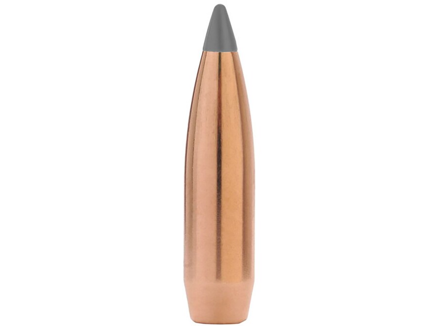 Factory Second Varmint Bullets 22 Cal (224 Diameter) 69 Grain Polymer