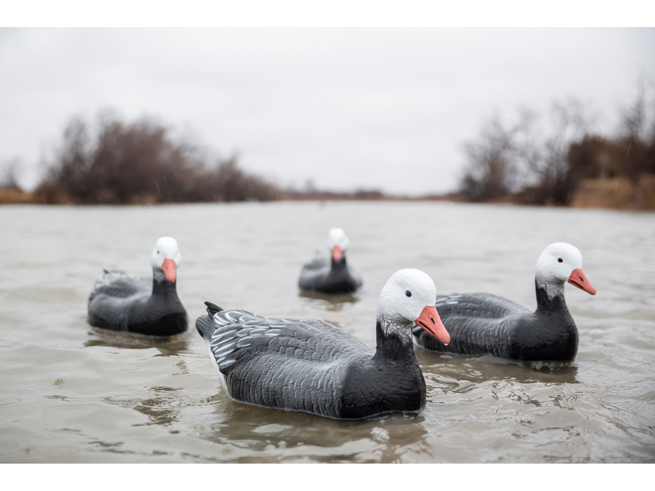Tanglefree Pro Series Blue Goose Floater Decoy 4PK