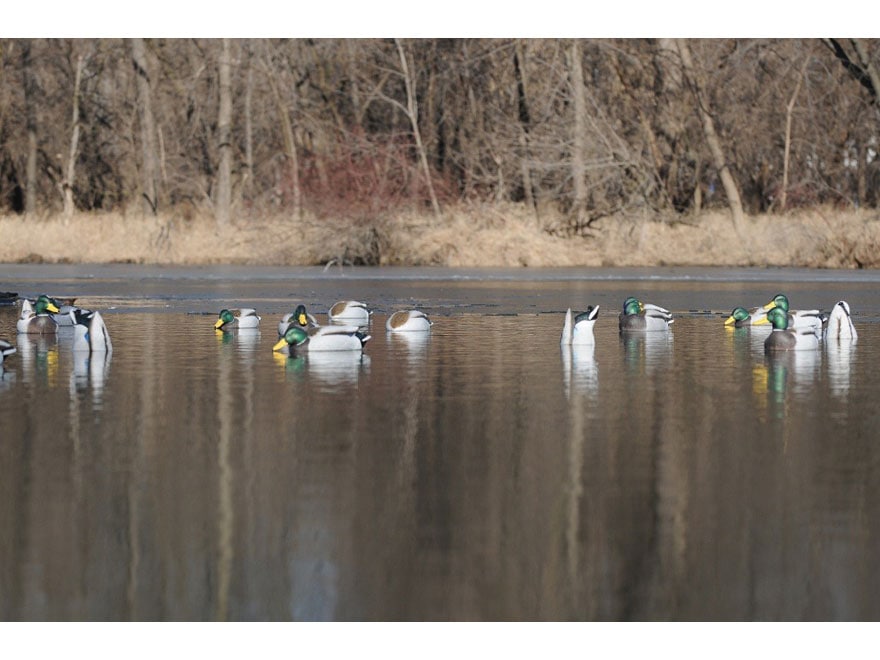 GHG Pro-Grade January Mallard Harvester Pack Duck Decoy Pack of 12