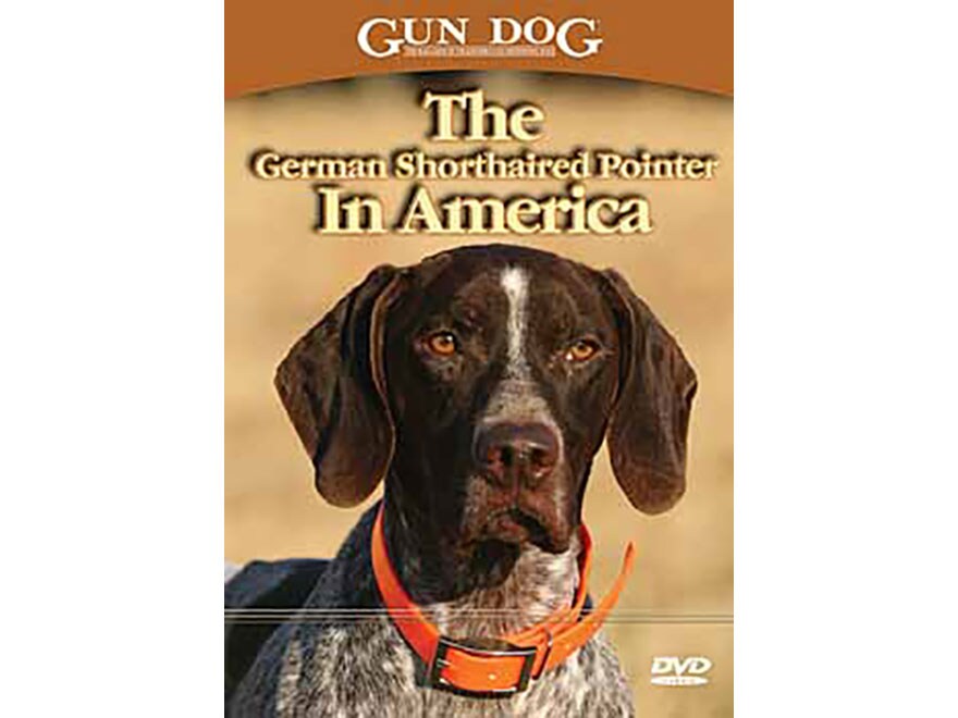 Gun Dog: The German Shorthaired Pointer America DVD