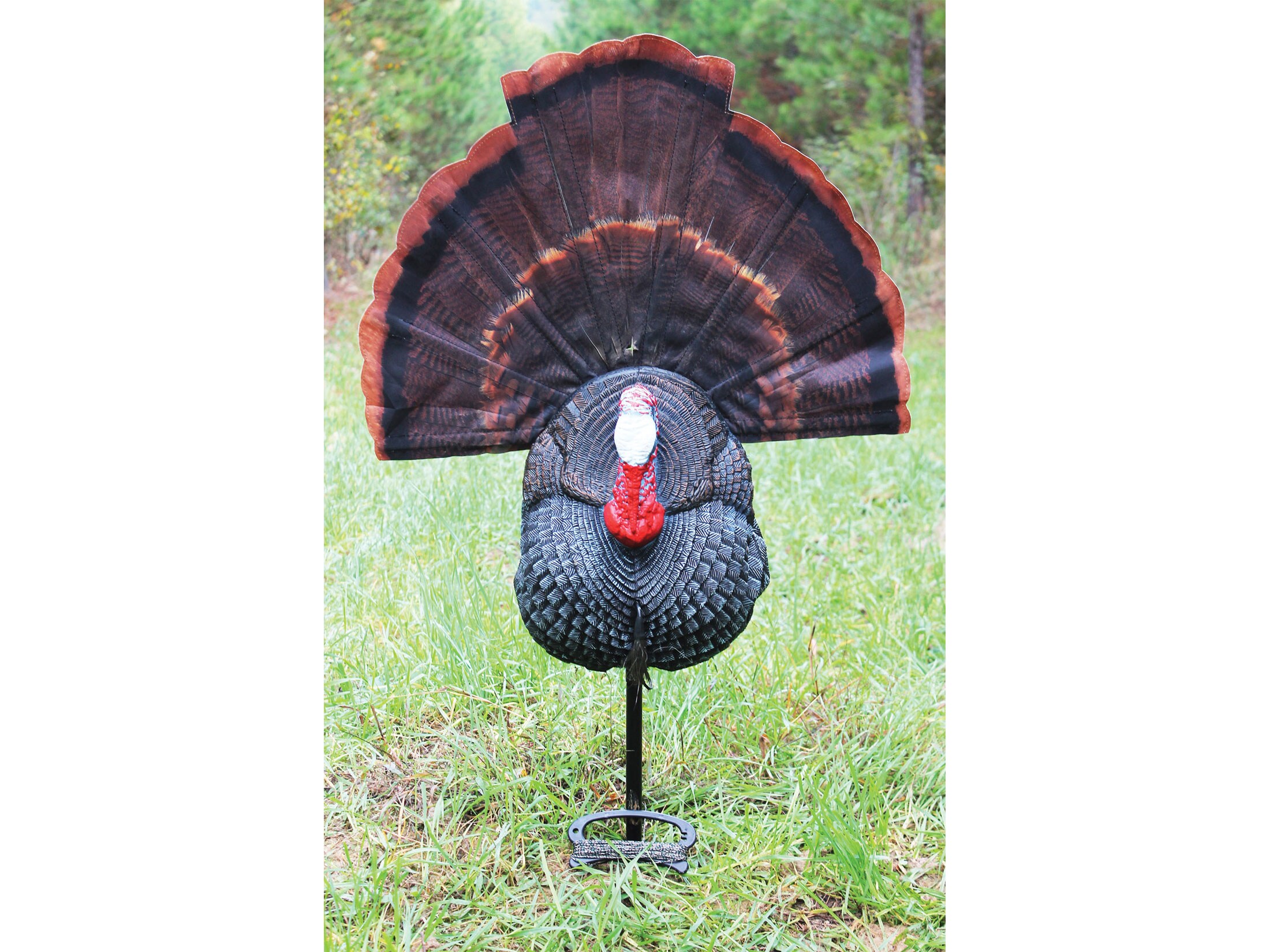 MOJO Tail Jerker Jake Turkey Decoy