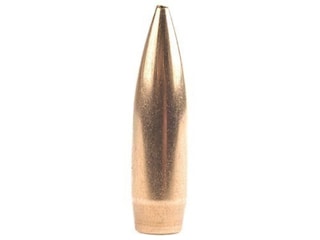 Factory Second Match Bullets 303 Cal (311 Diameter) 174 Grain Hollow