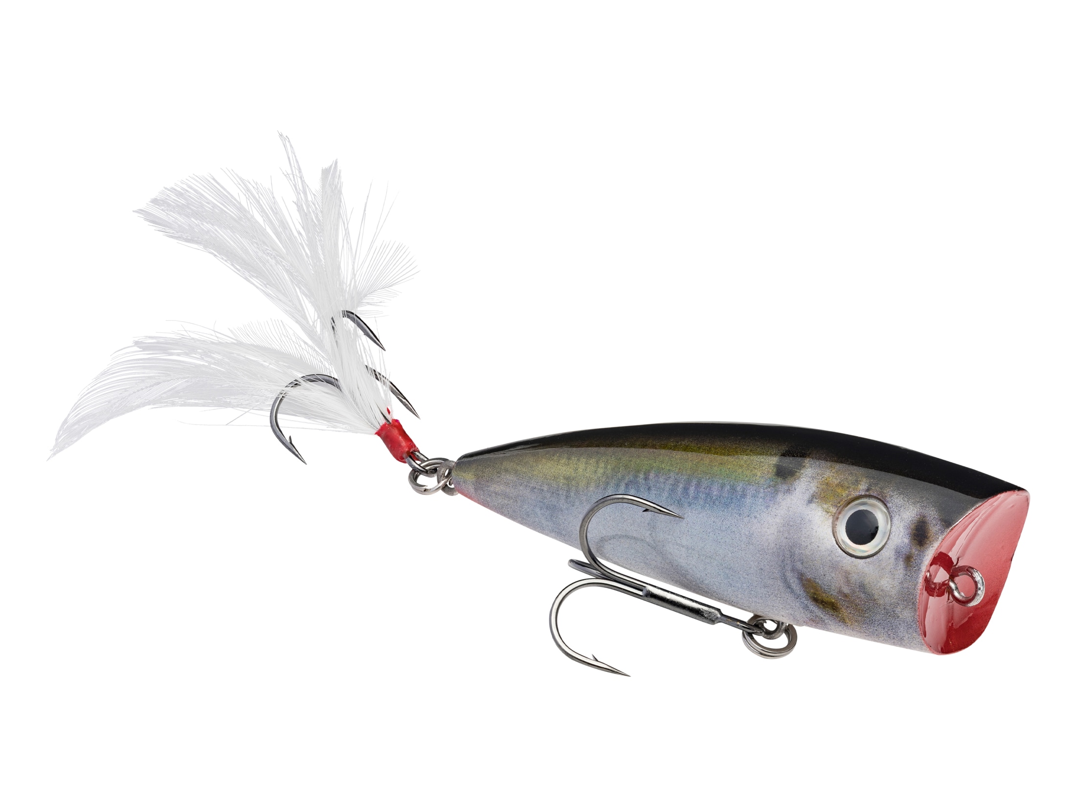 Strike King KVD Splash Topwater Chrome Sexy Shad