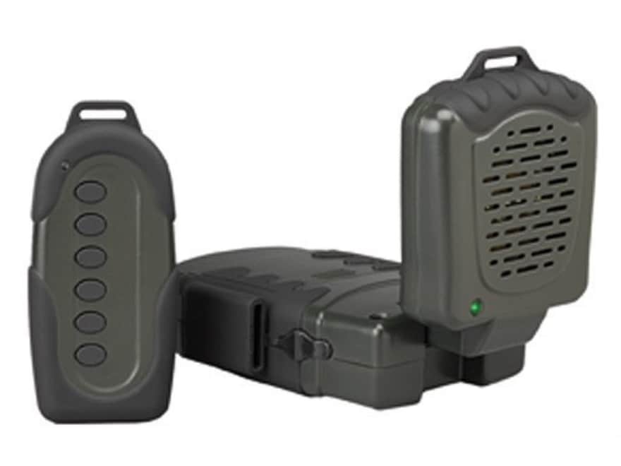 Johnny Stewart Attractor Electronic Crow 1 Call