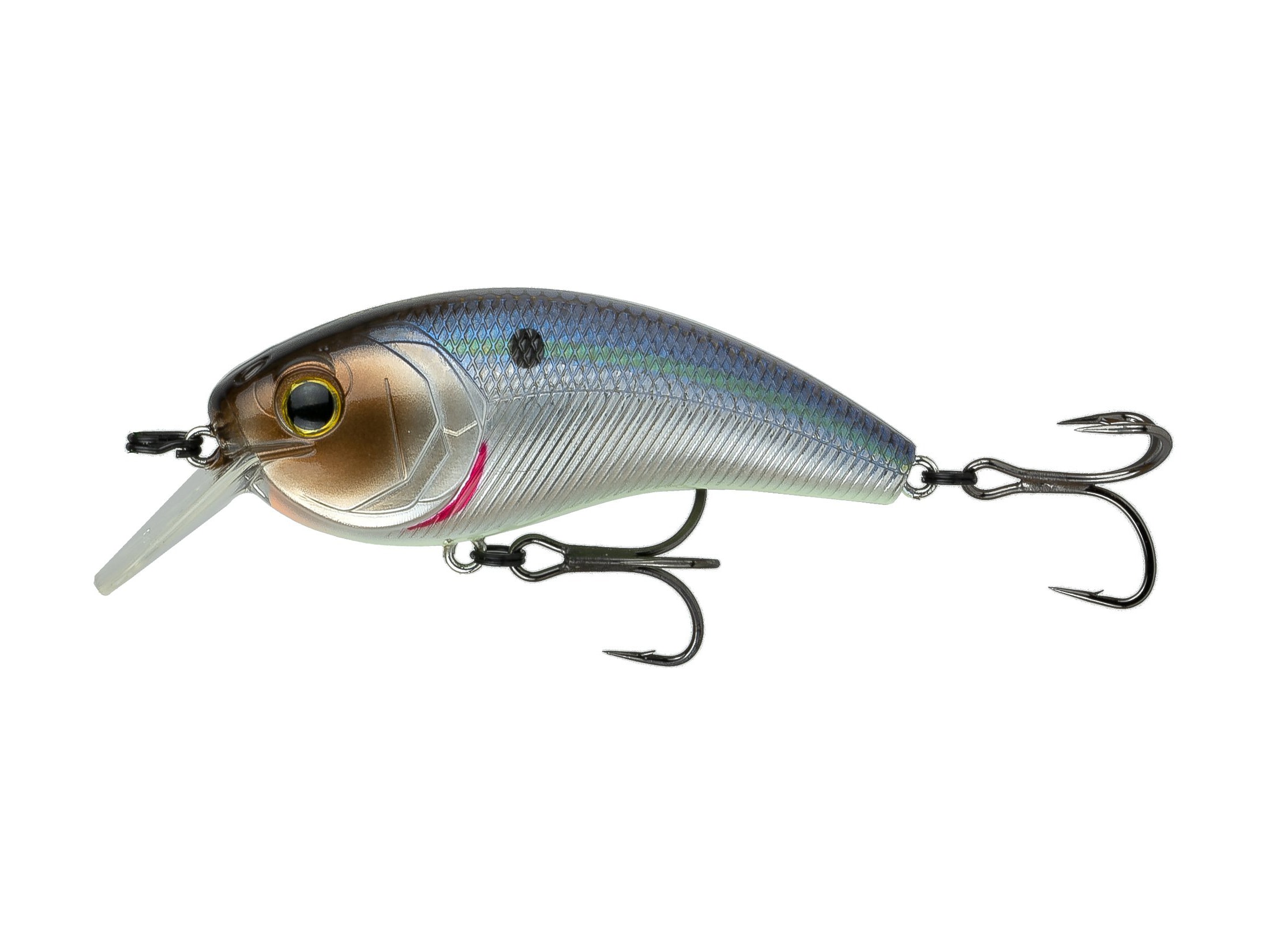 6th Sense Movement L7 Square Bill Crankbait Bluegill Spawn