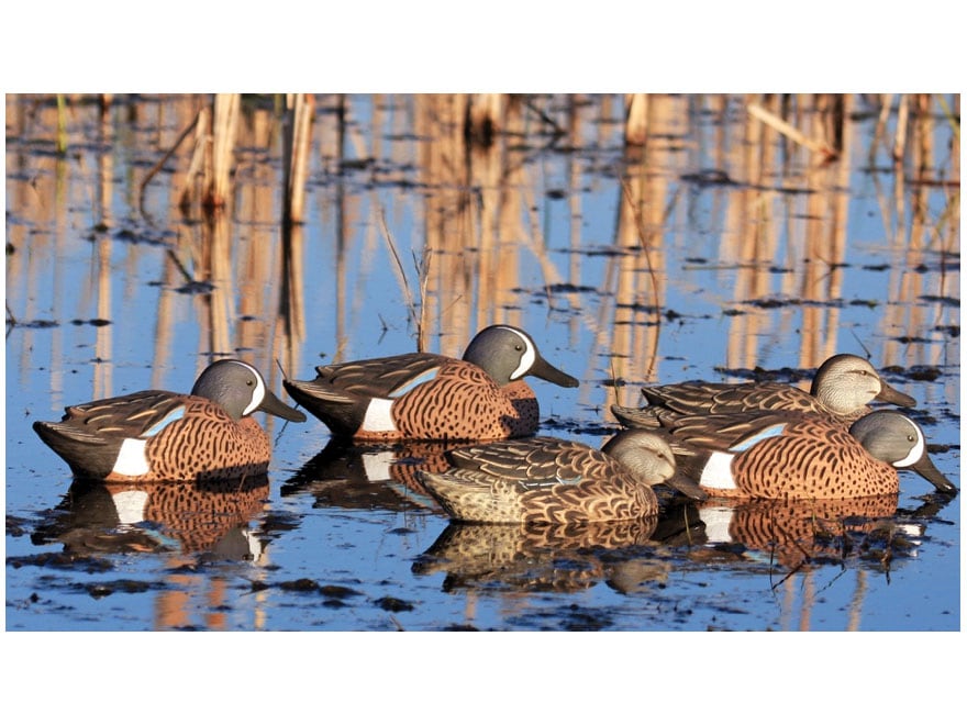 GHG Pro-Grade Pre-Texas Rigged Blue Wing Teal Duck Decoy 6PK