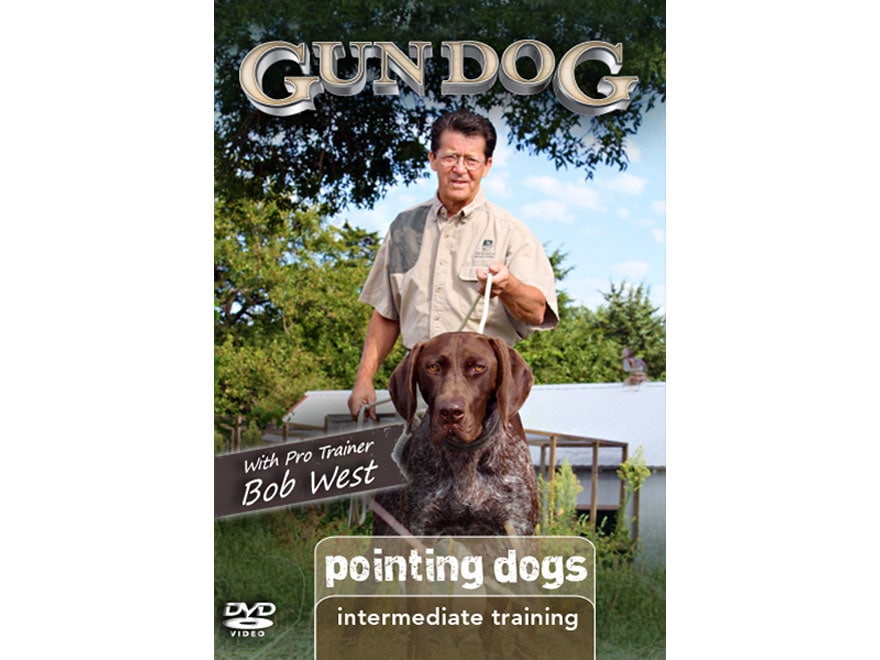 Gun Dog: Intermediate Training: Pointing Dogs DVD