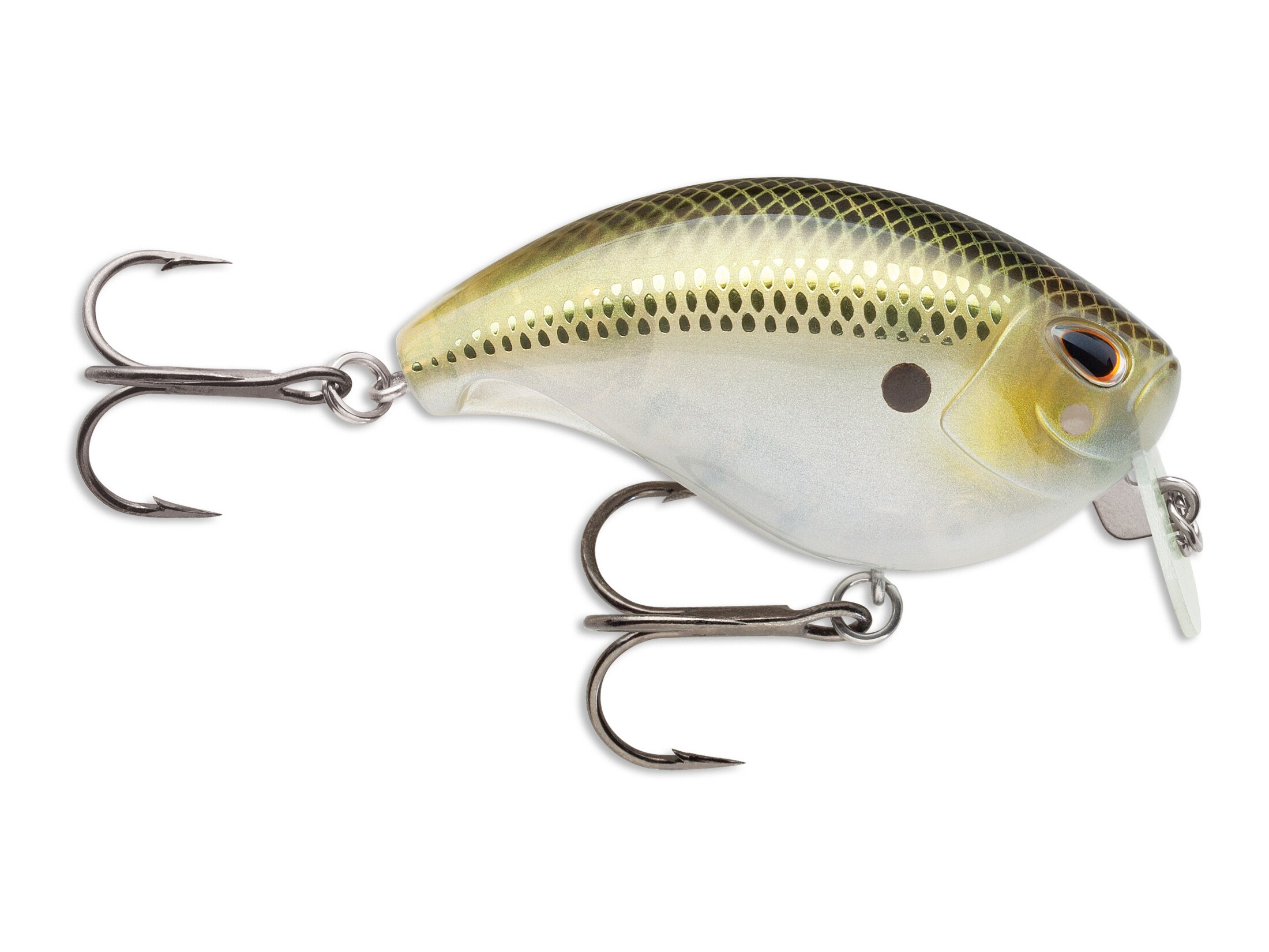 Storm Arashi Wake-Crank Topwater Green Gold Shad