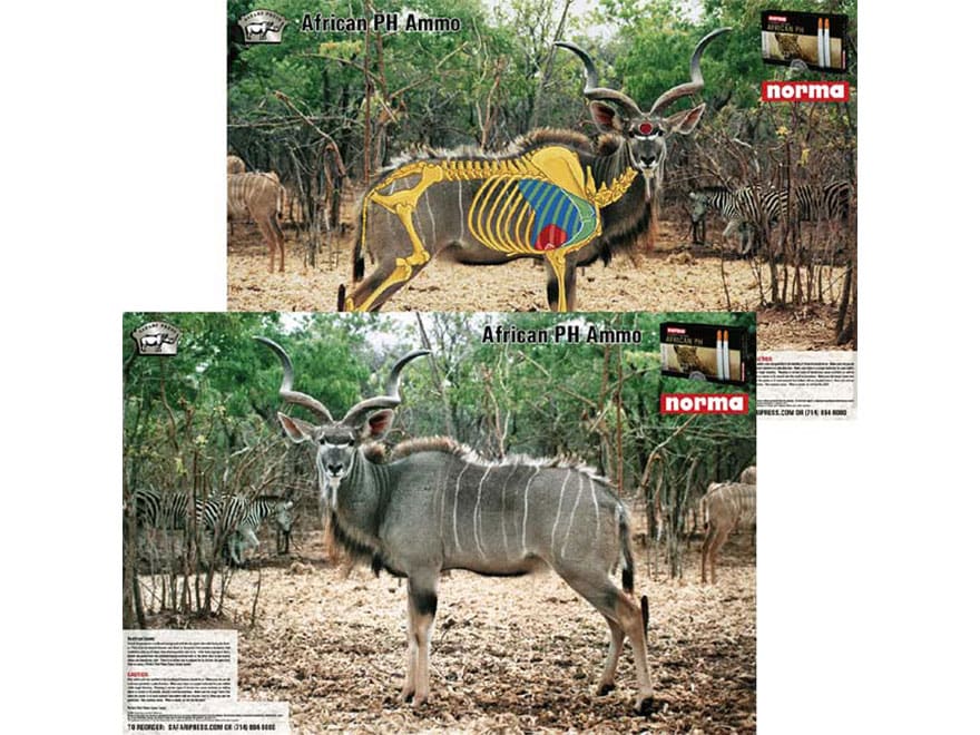 Safari Press Perfect Shot African Plains Game Target Warthog, Kudu,