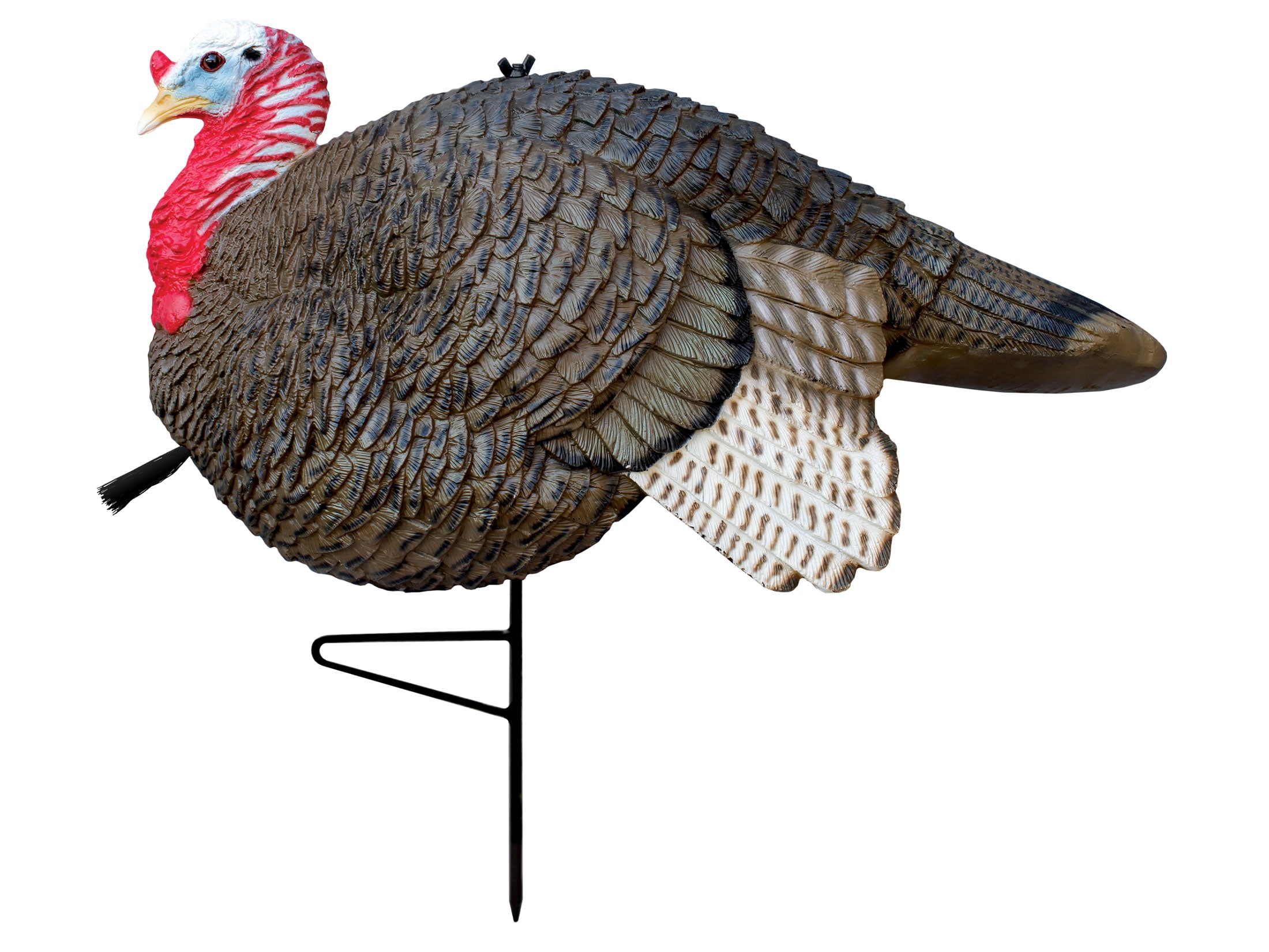 Primos Gobbstopper Jake Turkey Decoy