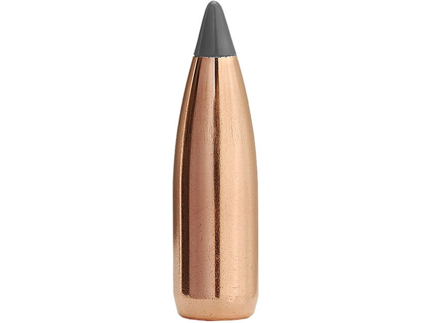 Factory Second Varmint Bullets 22 Cal (224 Diameter) 55 Grain Polymer