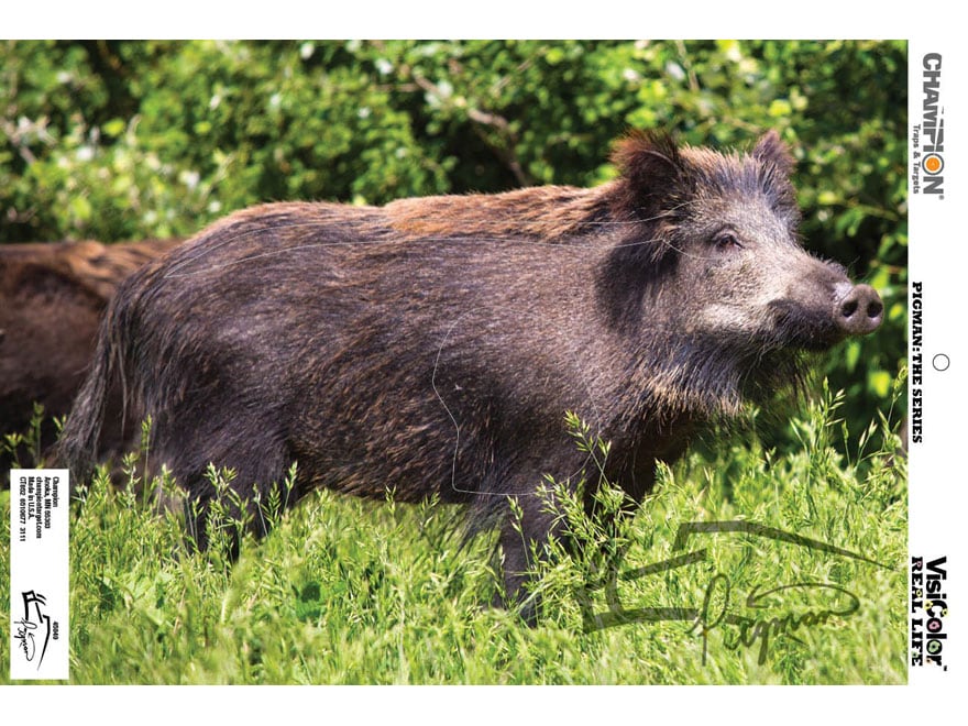 Champion VisiColor Real Life Pigman Series Targets 18 x 12 Paper 6PK