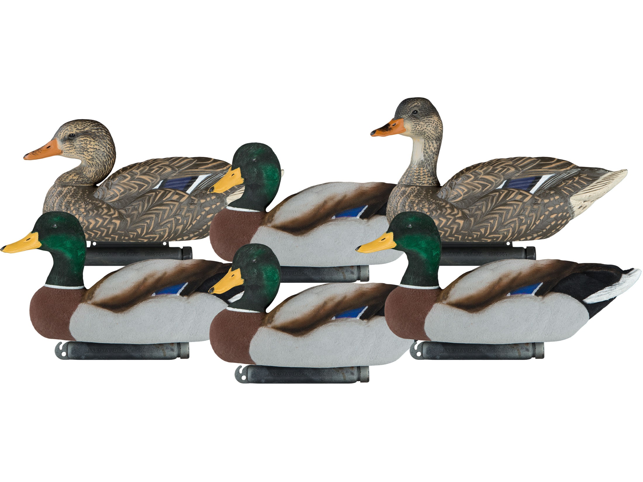 Dakota Decoy X-Treme Fully Flocked Mallard Duck Decoy 6PK