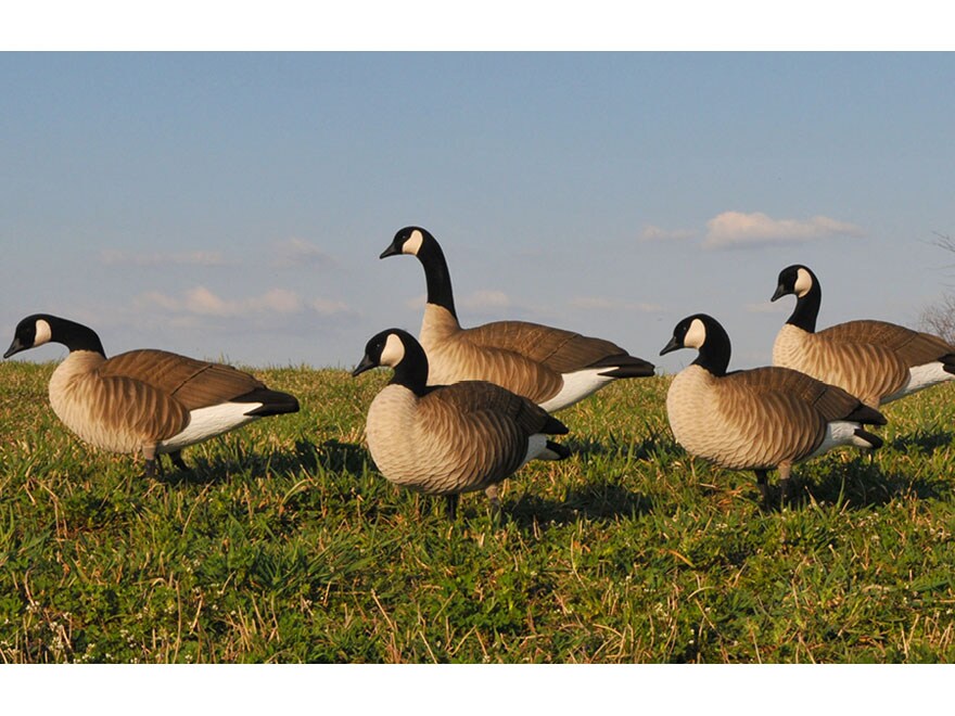 GHG Newbold Lesser Active Full Body Goose Decoy Pack of 6